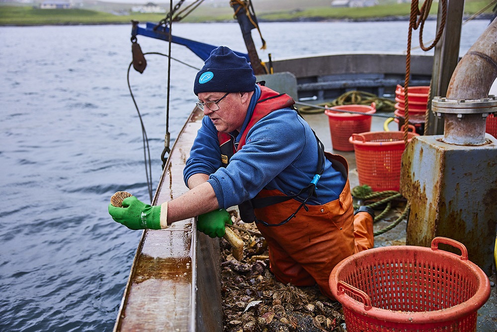 Shetland Scallops bottom carousel | Marine Stewardship Council