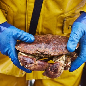 Seafood prep skills | Marine Stewardship Council
