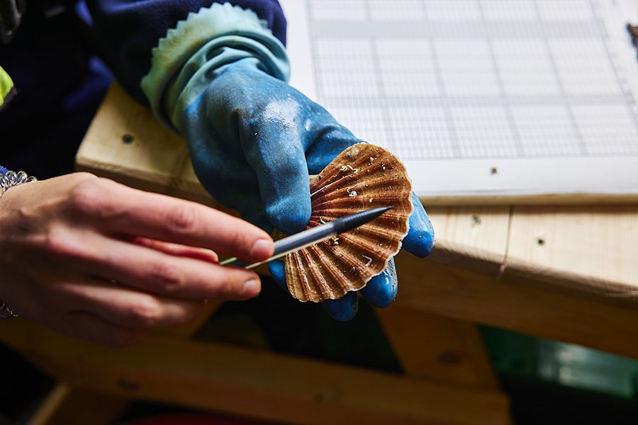 How scientists are helping fisheries protect our ocean | Marine ...