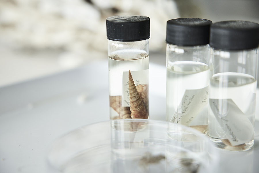 How scientists are helping fisheries protect our ocean | Marine ...