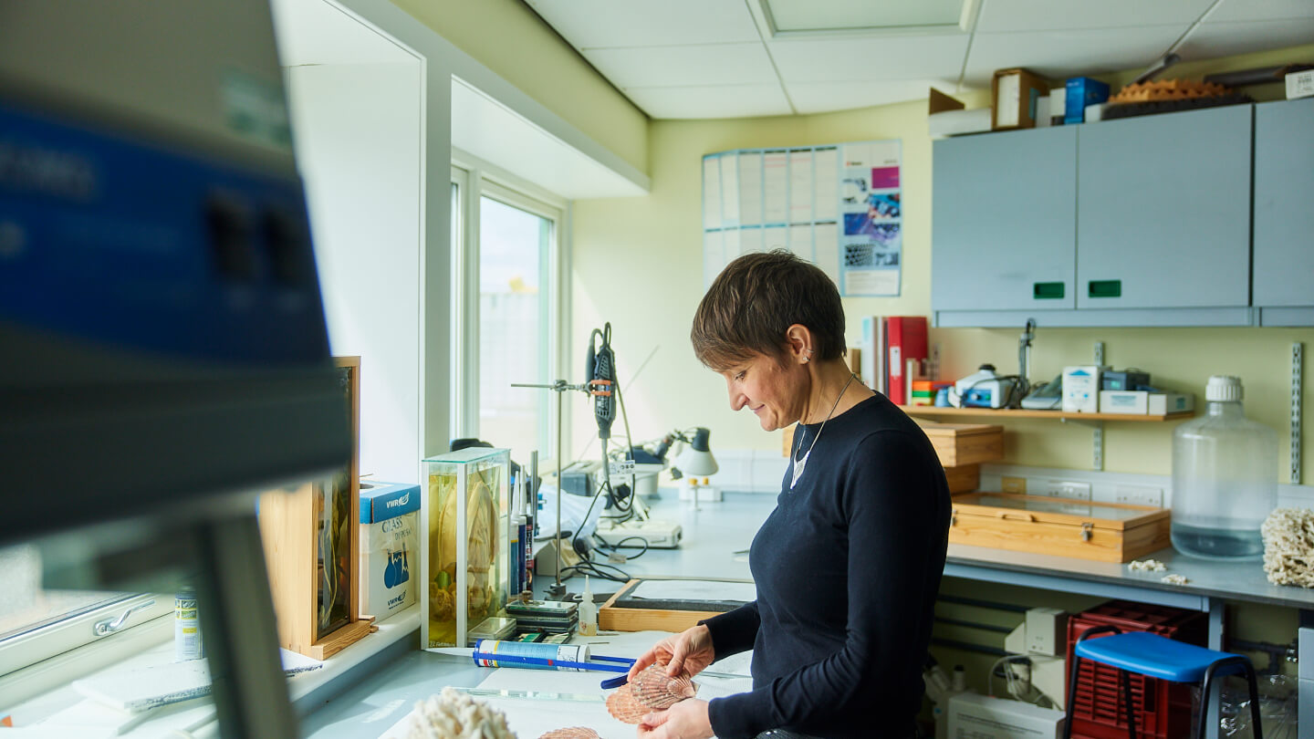 Sustainability at the heart of Shetland’s Scallop fishing Community ...