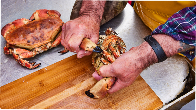 Preparing brown crab | Marine Stewardship Council