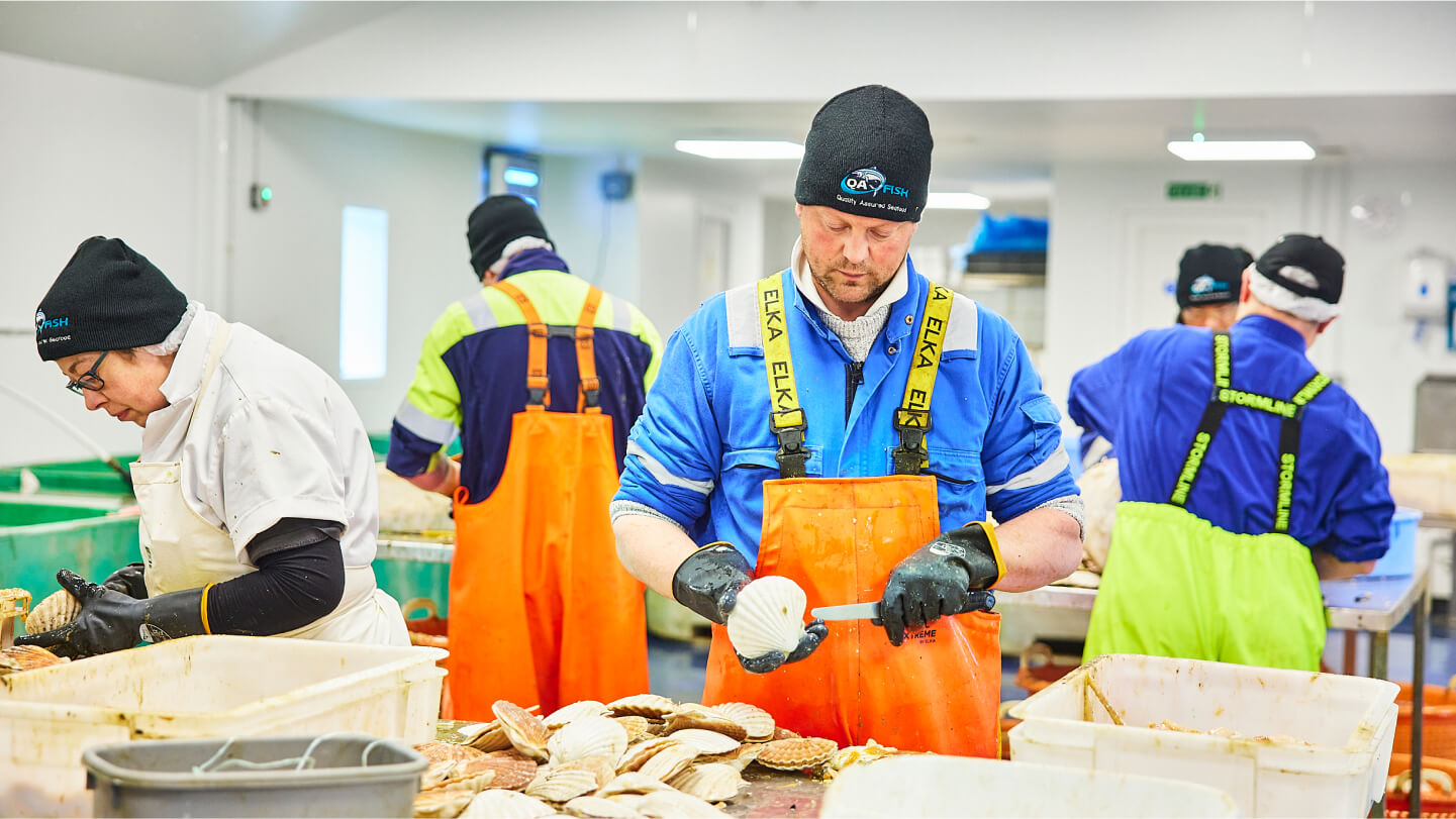 Sustainability at the heart of Shetland’s Scallop fishing Community ...